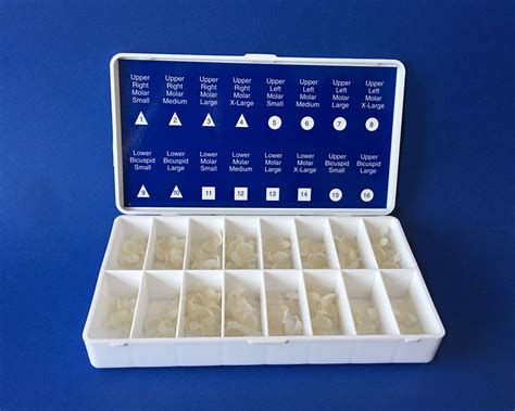 Adult Posterior Translucent Shells Only Directcrown