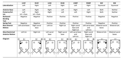 Omm Sacrum Review And Treatment Flashcards Quizlet