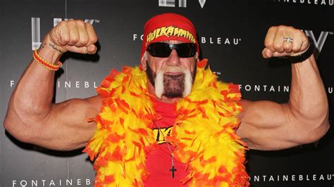 Wwe Hulk Hogan