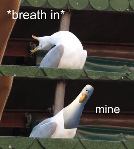 Mine Blank Template Imgflip