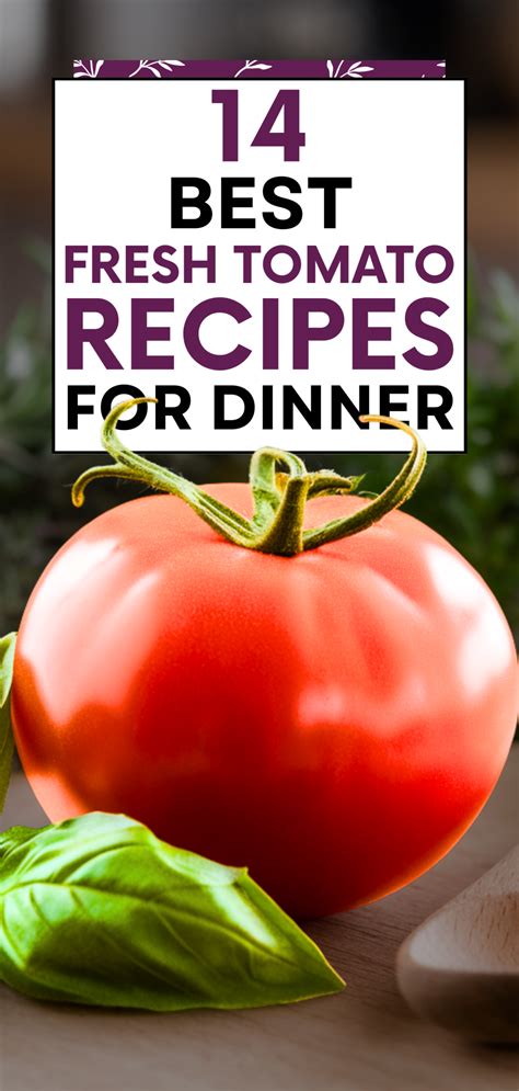 14 Best Fresh Tomato Recipes For Dinner My Home And Kitchen