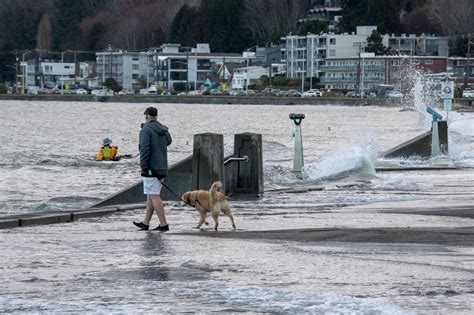 Seattle King Tides Photos Equal Motion