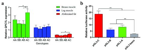 Effects Of Different Indels On Qpctl A Expression Of The Qpctl Gene Download Scientific