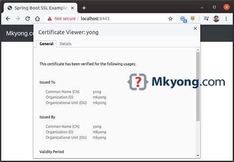 Spring Boot Ssl Examples
