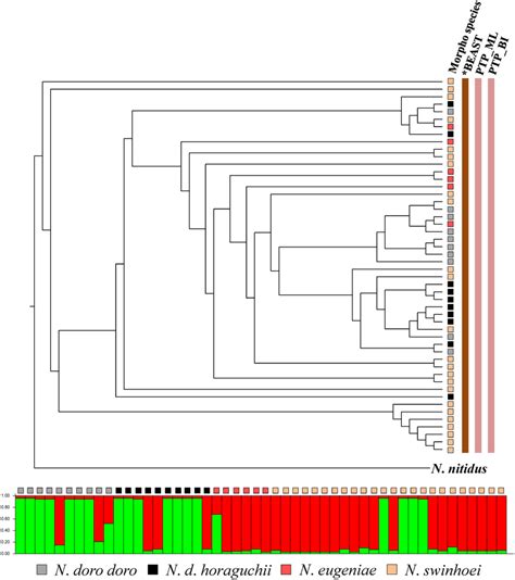 Multilocus Species Delimitation And Hybridization Test Of The Four Download Scientific Diagram