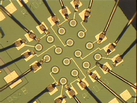 Apollo Detector