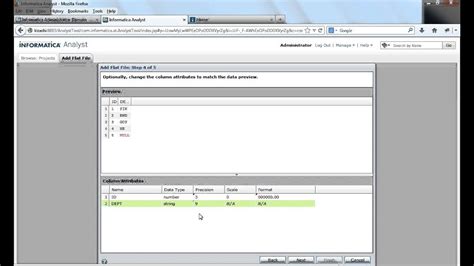 Import Flat File Into Informatica Analyst Tool Youtube