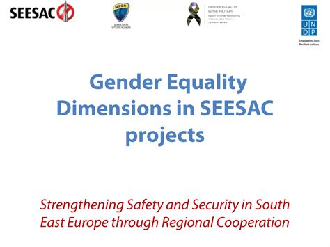 Gender Equality Dimensions In Seesac Projects Ppt