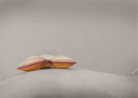 Hot Shell Massage On Back Stock Image Image Of Peace 19694649