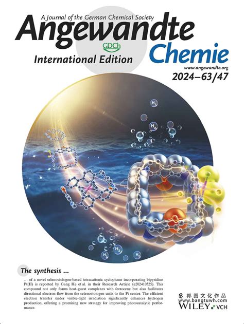 科研绘图sci画图作图学术杂志封面设计toc示意图文章配图医学动画