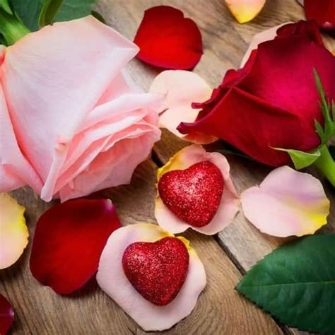 Sameera Bachirou Simrane Bachir • Threads Say More