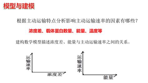 42主动运输与胞吞、胞吐课件共21张ppt1份视频 2023 2024学年高一上学期生物人教版（2019）必修121世纪教育网 二一教育
