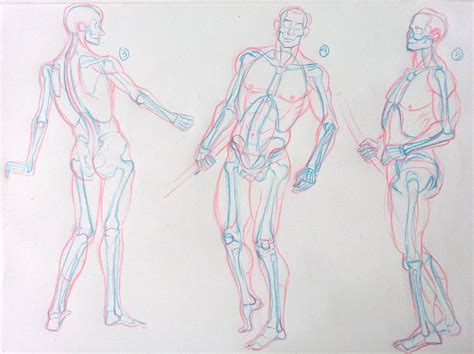 Im Currently Learning Anatomy Any Tips On How To Improve Or What I