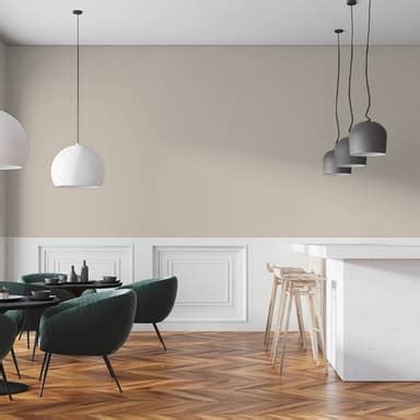 Pittura Colore Tortora Chiaro Vernice Italia