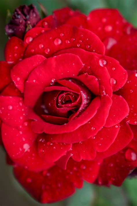 Ict Background Photos Download The Best Free Ict Background Stock