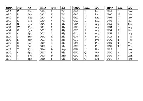 Dictionary Dna Dictionary Of Dna Trna Sym Aa Aaa Aac Aag Aau Aca Acc Acg Acu Aga Agc Agg
