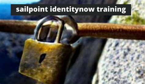 Sailpoint Identitynow Training Cyberbrainer