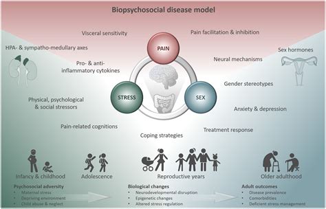 Frontiers Connecting Dots In Disorders Of Gut Brain Interaction The