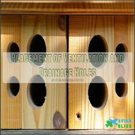 Birdhouse Ventilation Drainage Importance Tips For Better Bird Homes