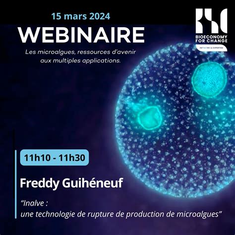 Innovation Microalgae Microalgues Aquaculture Webinaire Sustainability Impact Inalve