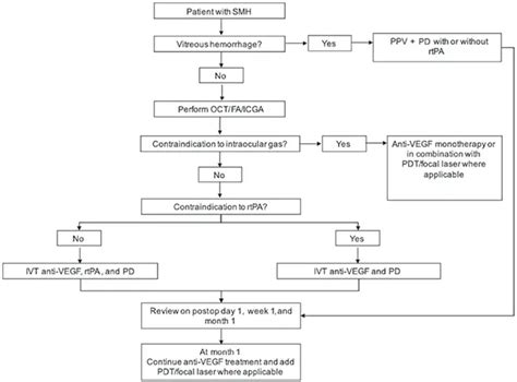 Management Of Submacular Hemorrhage American Academy Of Ophthalmology