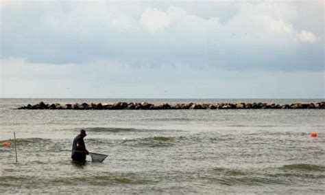 Grand Isle State Park Louisiana State Parks Culture Recreation