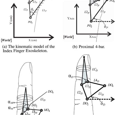 Modelling Of The Index Finger Exoskeleton A Represents The Kinematic Download Scientific
