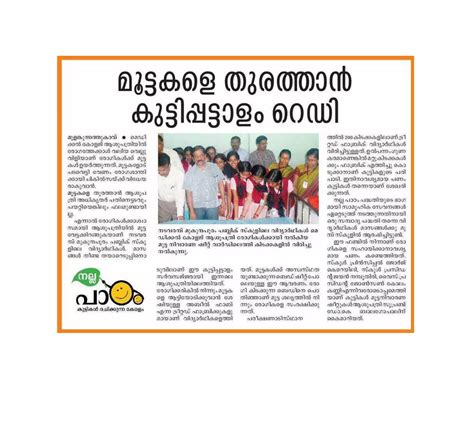 Anti Bed Bug Activity Pdf