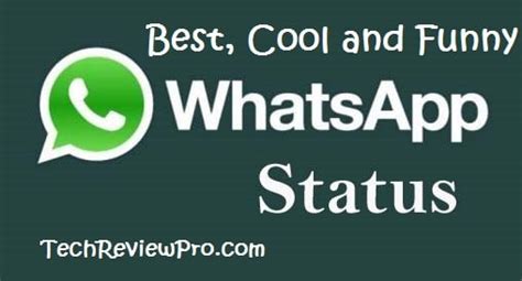 50 Best Whatsapp Status Updates Funny And Cool Statuses