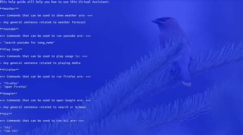 Github Ritwik12virtual Assistant A Linux Based Virtual Assistant On Artificial Intelligence In C