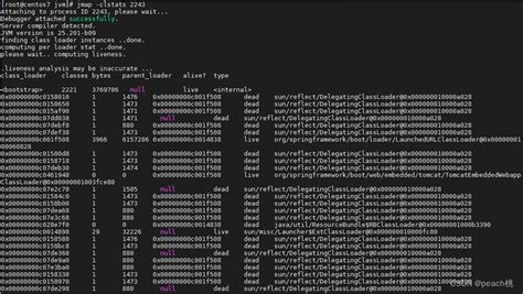 Jvm调优（一）——jvm调优诊断工具详解jinfo Csdn博客