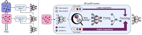 Biaspruner Debiased Continual Learning For Medical Image Classification