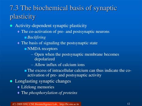 Ppt 7 Associators And Synaptic Plasticity Powerpoint Presentation Free Download Id1350333