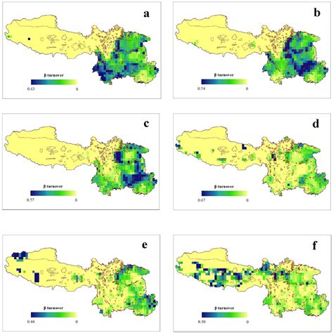 From α To β Diversity Understanding The Historical Present And