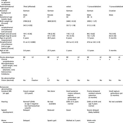 Phenotype In Patients With Mutation In Sox2 Gene Download Table