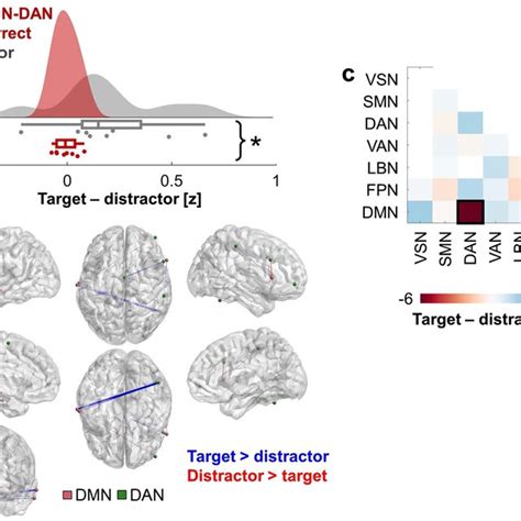 Input Gating Manipulation And Strategy Use A Task Schematic Subjects