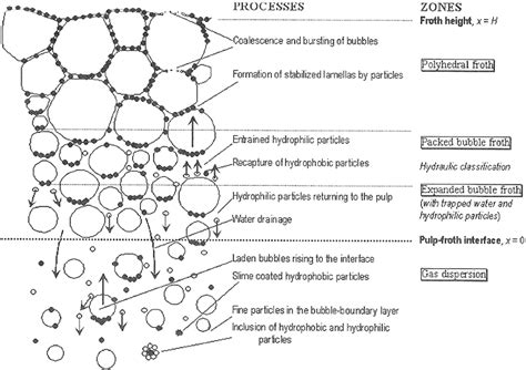 Figure 1 From The Roles Of Particles In Multiphase Processes Particles