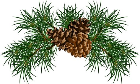 Pine Branch With Pinecones Natural Evergreen Decor Element 3014770