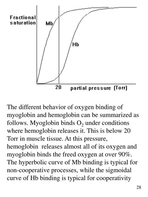 Ppt Myoglobin Powerpoint Presentation Id251959