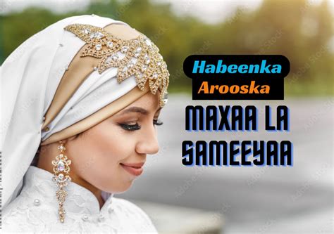 Habeenka Arooska 19 Talooyin Ku Anfacaya Better