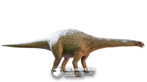 Saltasaurus 3d Dinopedia