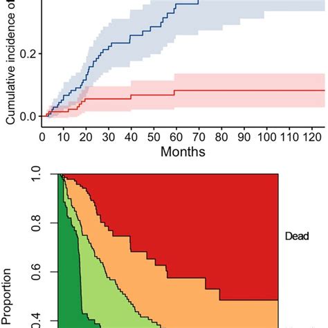 The Cumulative Incidence Plot For Cancer And Non Cancer Related Death