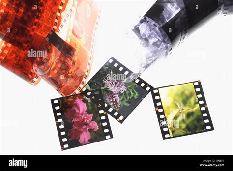 Photography Photo Picture Image Copy Deduction Analogous Positive Slide