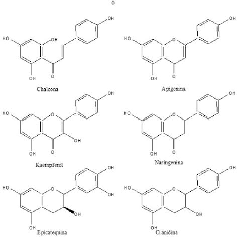 Estructura BÁsica Y Algunos Ejemplos De Flavonoides Download