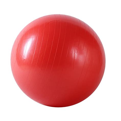 Sunny Health & Fitness Anti-Burst Gym Ball-55cm - Fitness & Sports ...