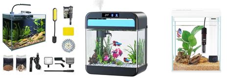 Best Betta Fish Tank With Filter And Heater Top 5 Picks And Review