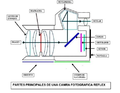 Jdvb Taller Cuerpo Y Partes De Una Cámara Fotografica Tipo Reflex Pdf
