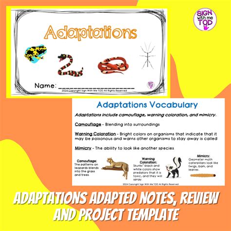 Adaptations Adapted Notes Review And Project Template Made By Teachers