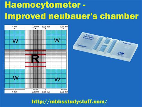 Hemocytometer And Haemocytometry 59 Off