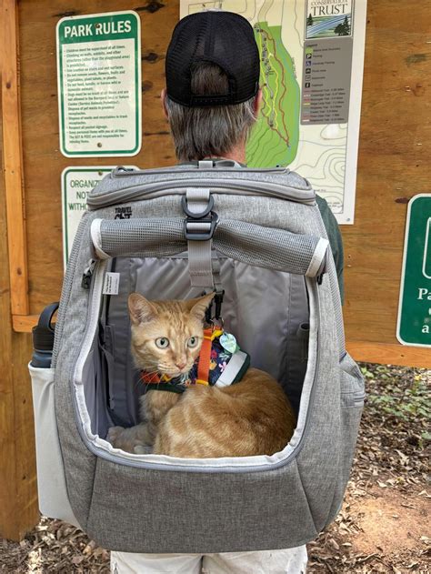 The Navigator Convertible Cat Backpack For Adventurous Cats And Hu